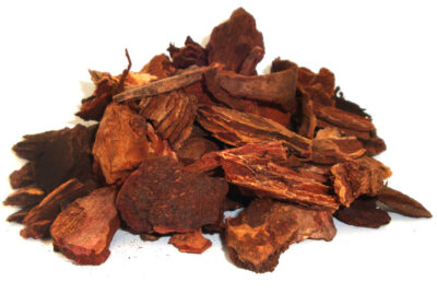 Commercial Landscaping - My Bark Co. Inc.